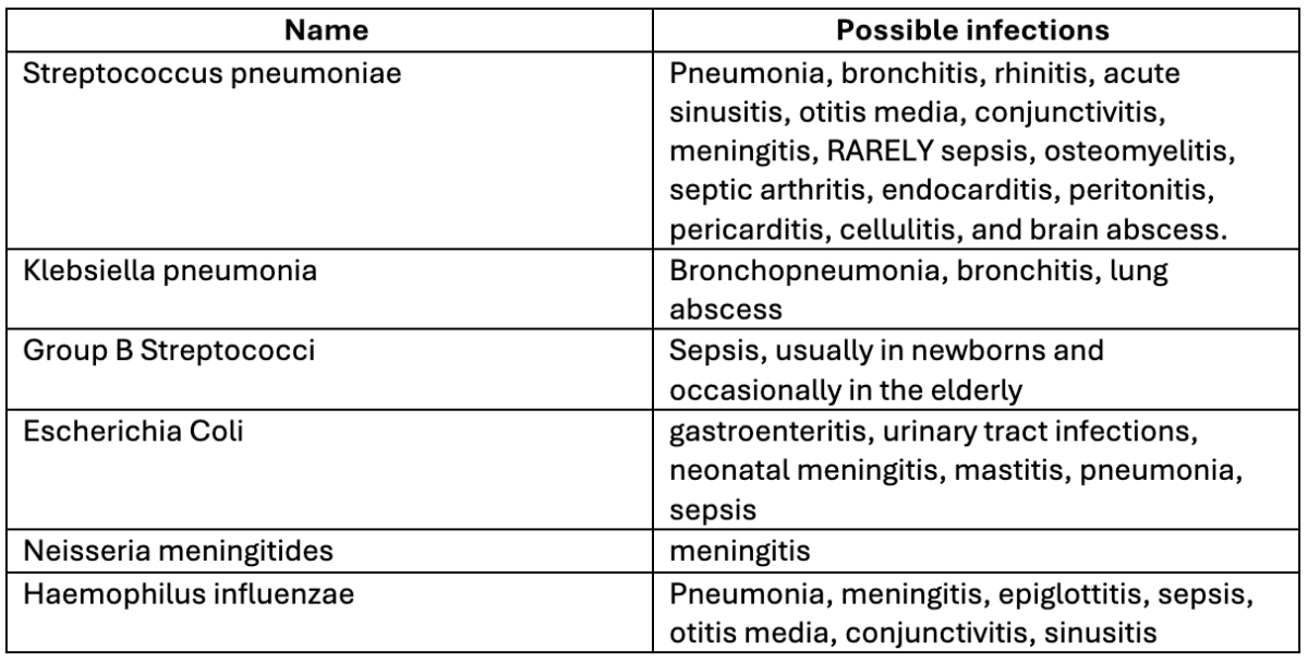 Specific Antibody Deficiency – SPAD - Immunodeficiency UK